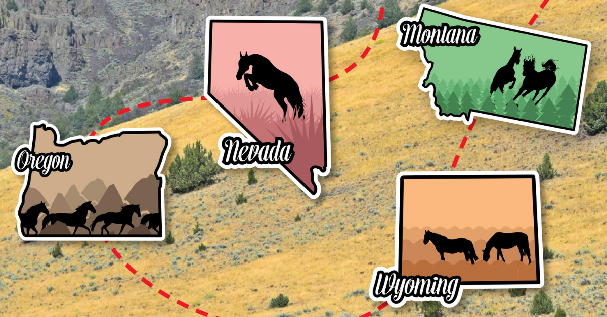 Pryor Mountain Wild Horse Range Map