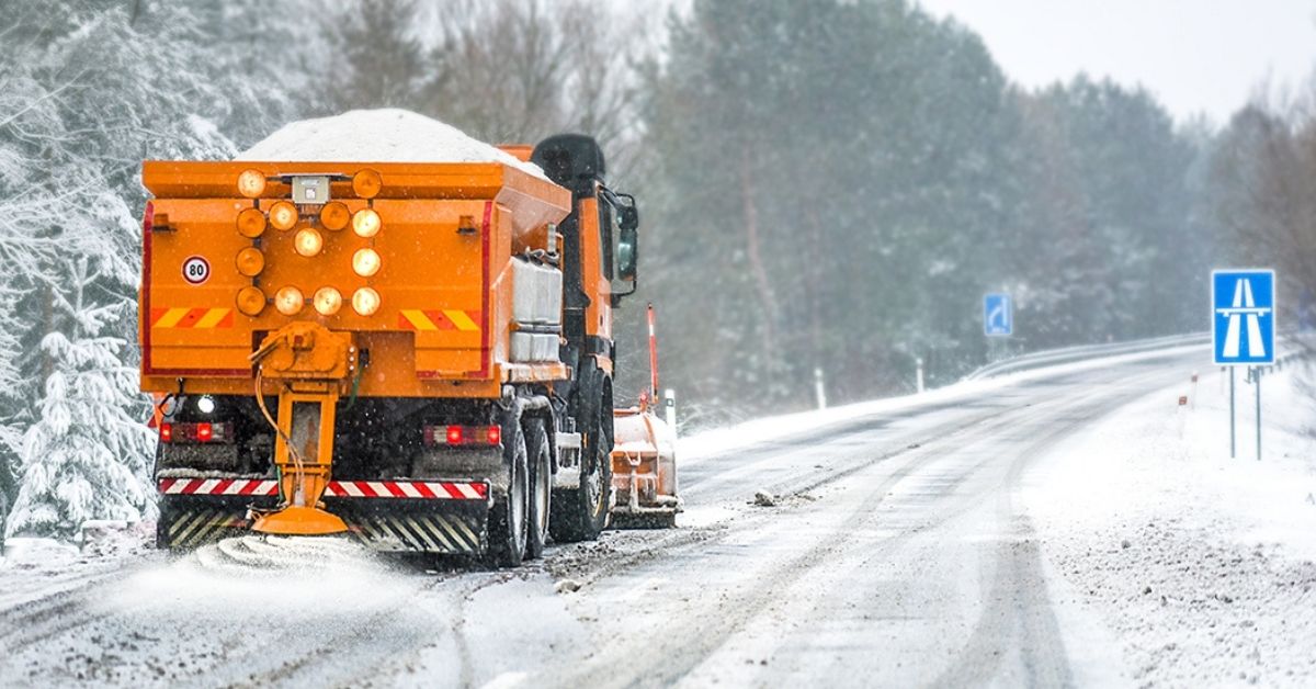 Friends of Animals | The U.S. is overdosing on road salt. Here’s how to ...