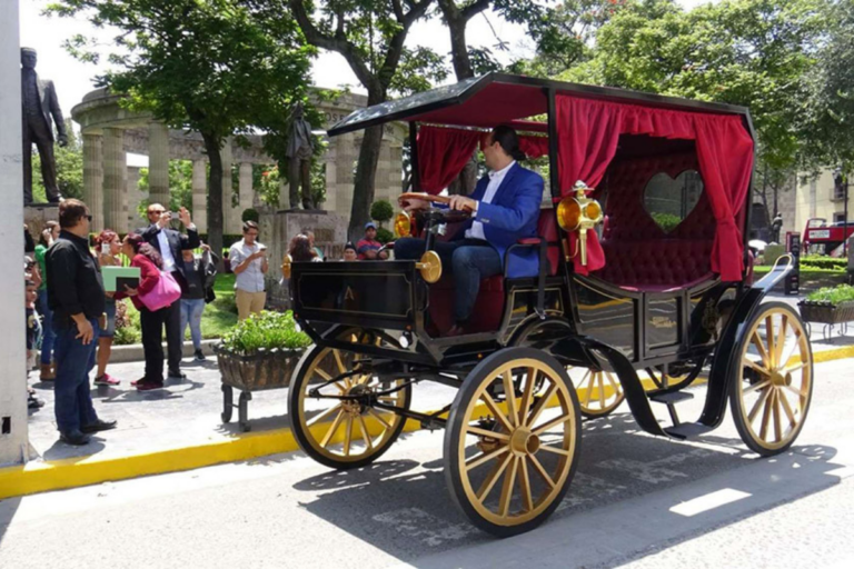 Friends of Animals | NYC, there is a business model for electric ...