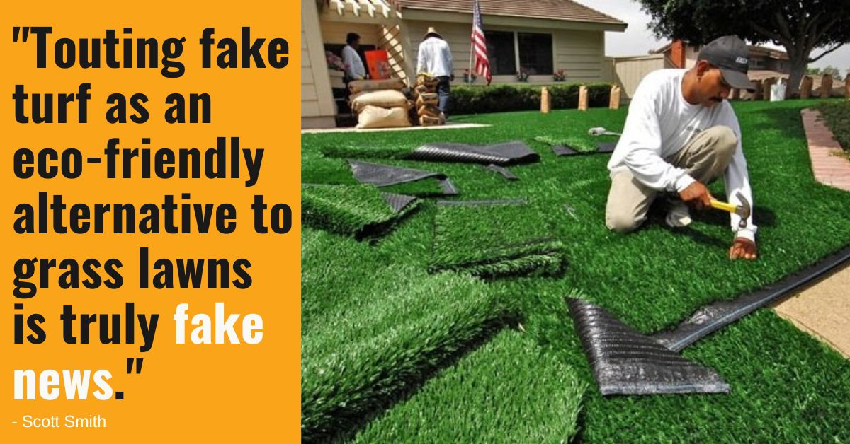Friends of Animals | Fake lawns are a fake solution to the water crisis ...