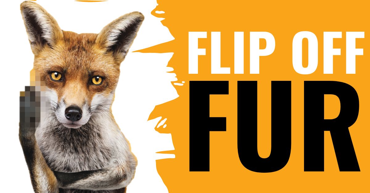 Friends of Animals | Fur is dead in California in 2023 - Friends of Animals