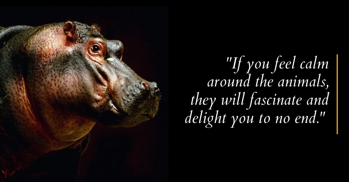 Animal Poaching Quotes