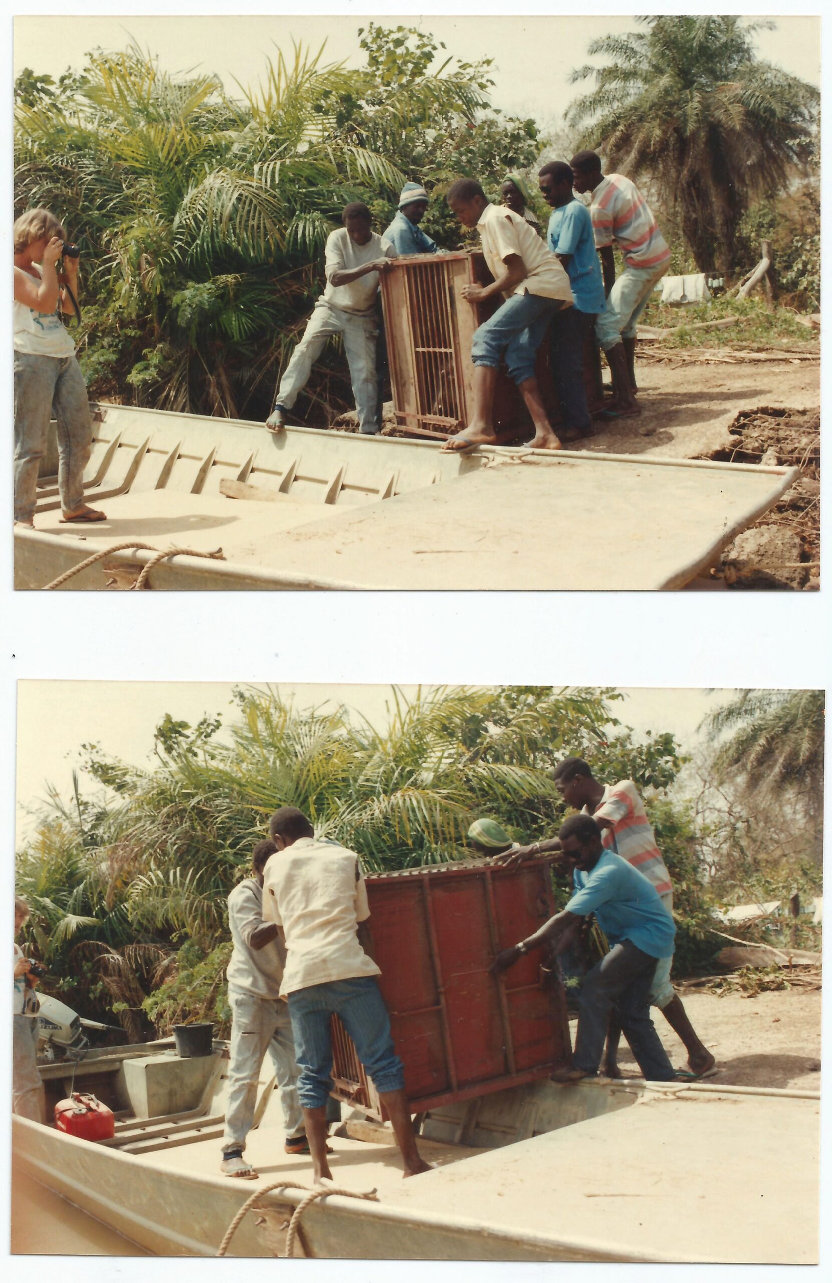 Friends of Animals | Warthog: My Unlikely Companion in Captivity ...