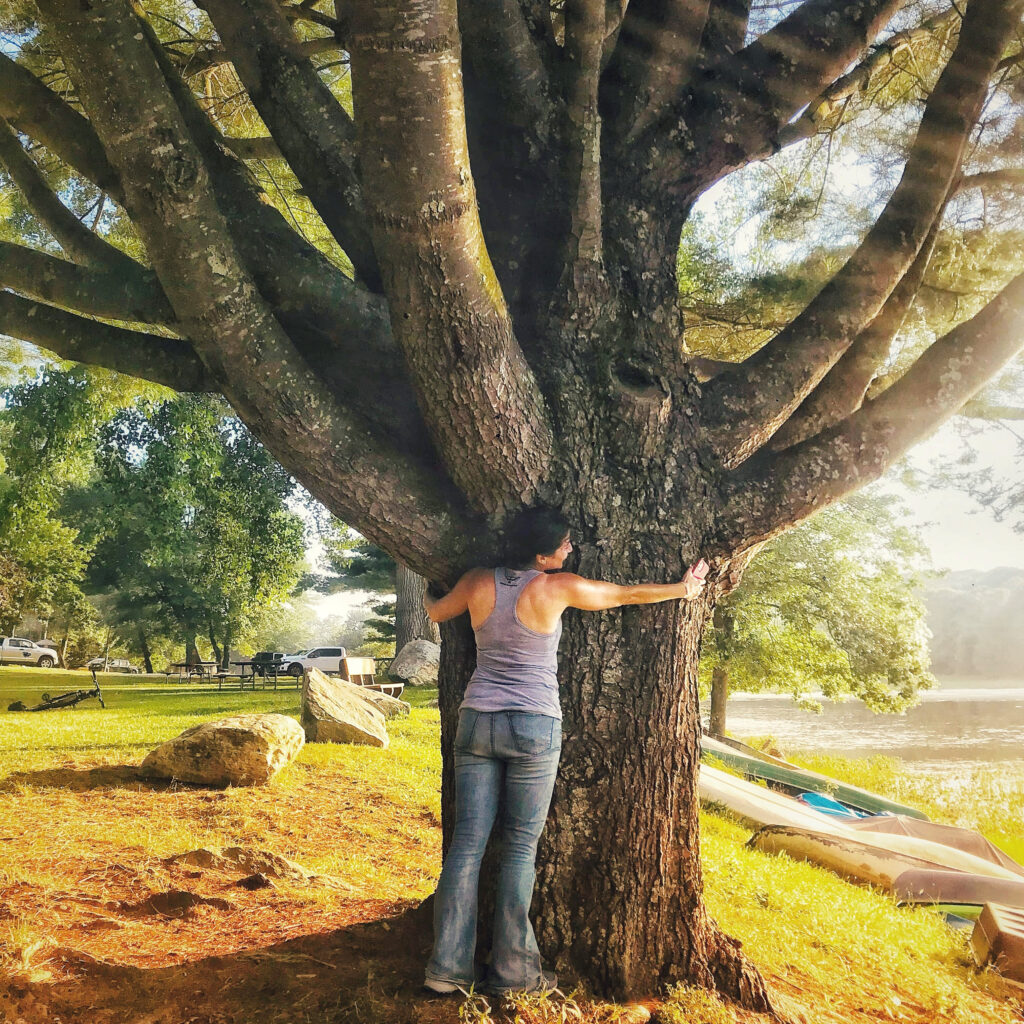 Friends of Animals | Hug a tree, and fight like heck to leave them ...