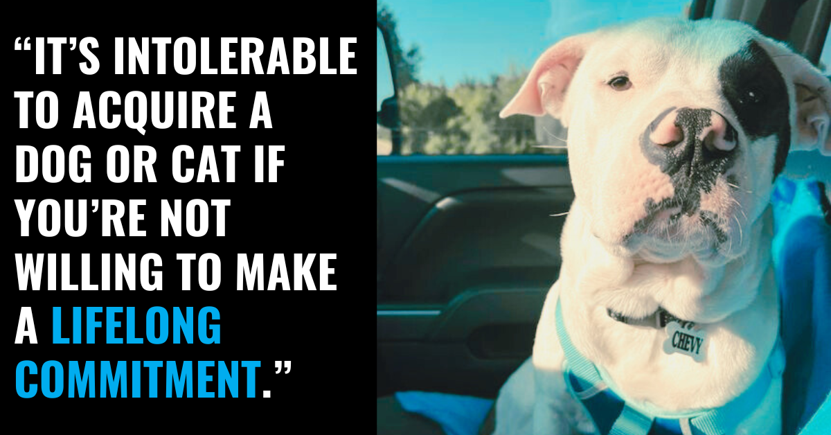 Friends of Animals | The pet abandonment epidemic - Friends of Animals