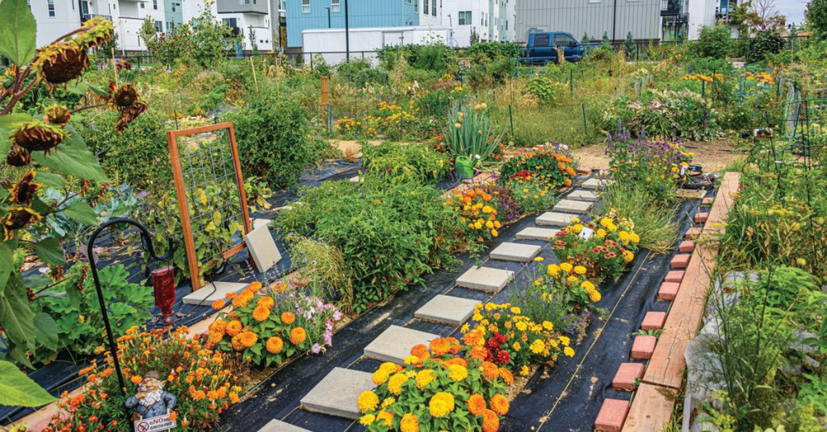 Friends of Animals | Organic community gardens: A win-win for humans ...