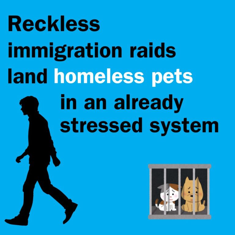 Friends of Animals | Reckless immigration raids land homeless pets in an already stressed system ...