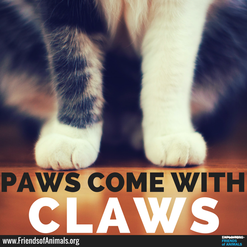 Friends of Animals | Cheers to Rhode Island for making it illegal to ...