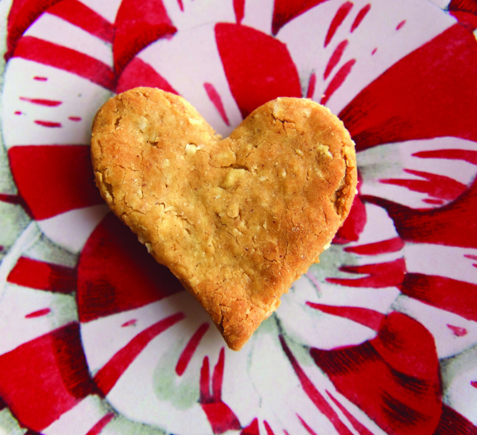 Friends of Animals | Gluten-Free Coconut Peanut Butter Dog Biscuits ...