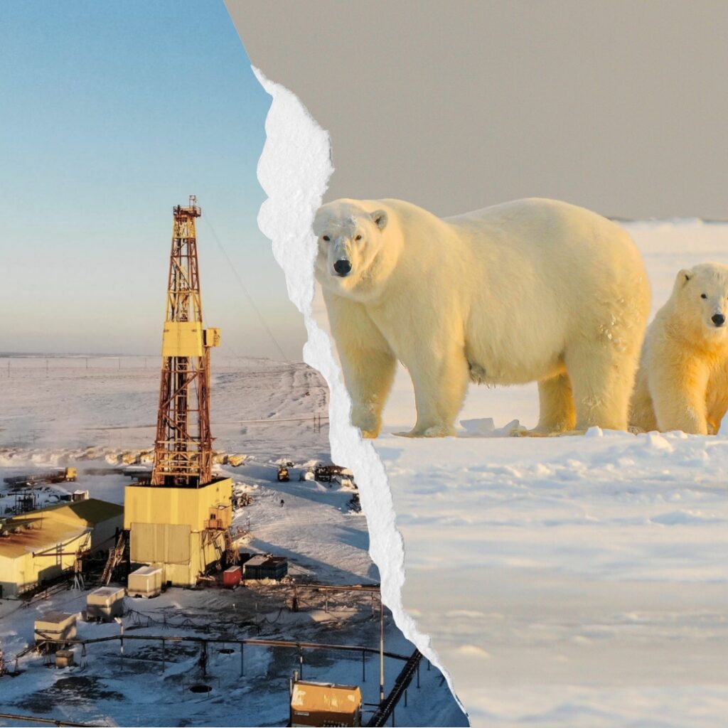 Friends of Animals | Help us stop Big Oil from getting green light to ...